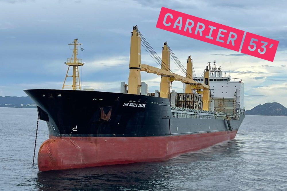 Neue Hamburger Reederei Carrier 53' setzt auf Container-Nische